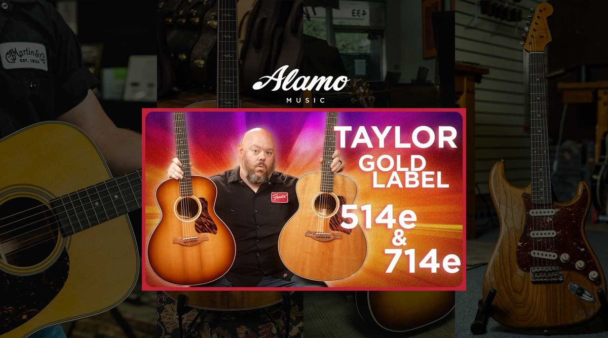 NEW Taylor Gold Label 514e & 714e Review – Best Value Yet? — Alamo ...