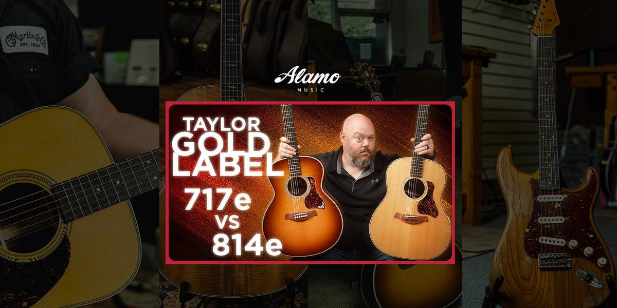 Comparing Taylor's New Gold Label Guitars | 814e vs. 717e Gold Label A ...