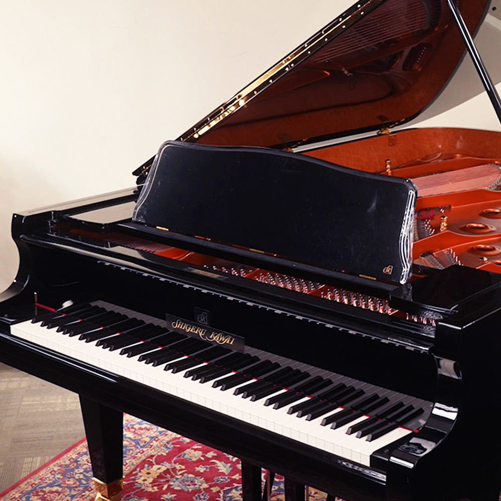 Grand Pianos in San Antonio, Austin & St. Louis | Alamo Music — Page 7 ...