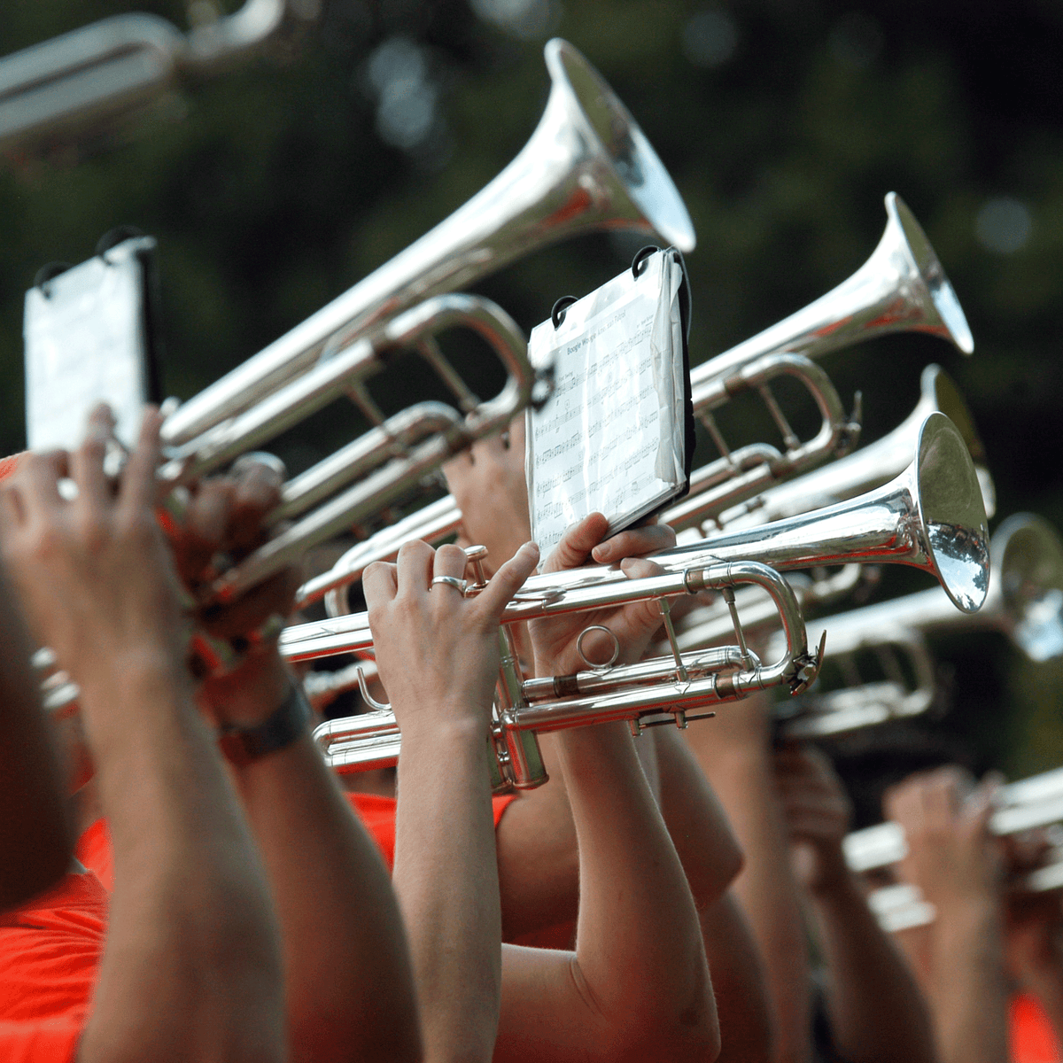 Trumpets | Alamo Music Center