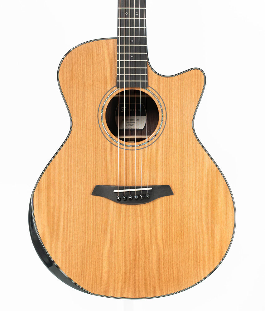 New and Used Guitars | Alamo Music Center