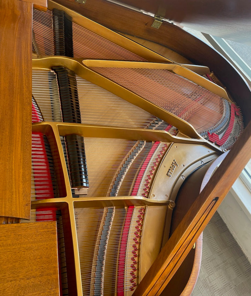Apollo Baby Grand Piano | Polished WalnutAlamo Music CenterApolloGrand ...