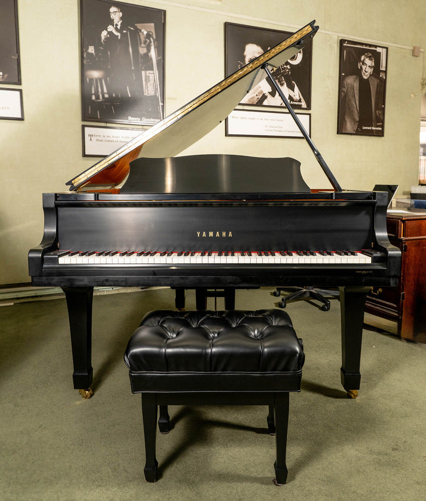 Alamo Music - Premier Music Instrument Store in San Antonio, Texas ...