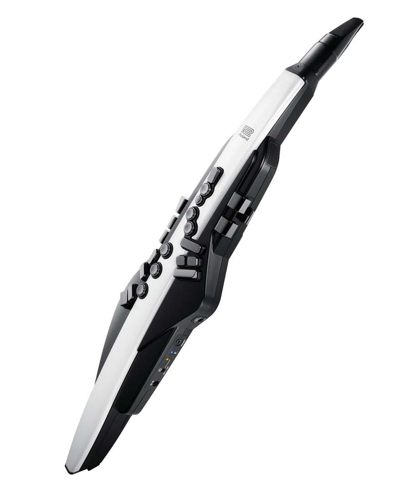 Roland AE-20 Aerophone Digital Wind Instrumentalamomusiccenter ...
