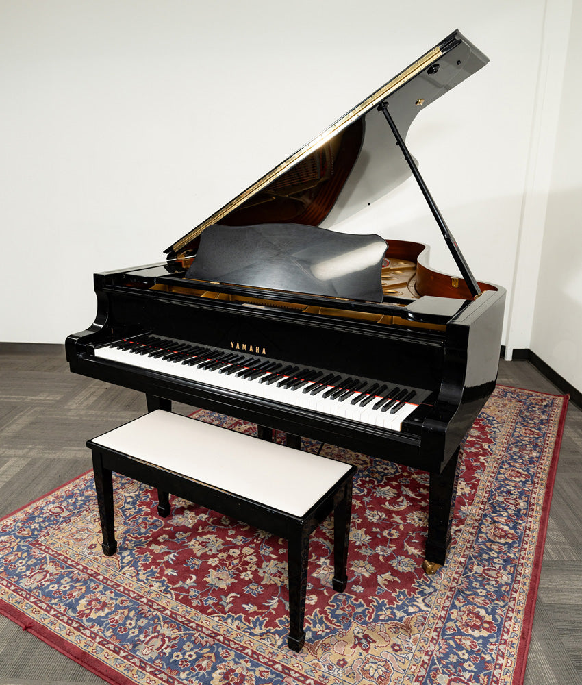 Alamo Music - Premier Music Instrument Store in San Antonio, Texas ...