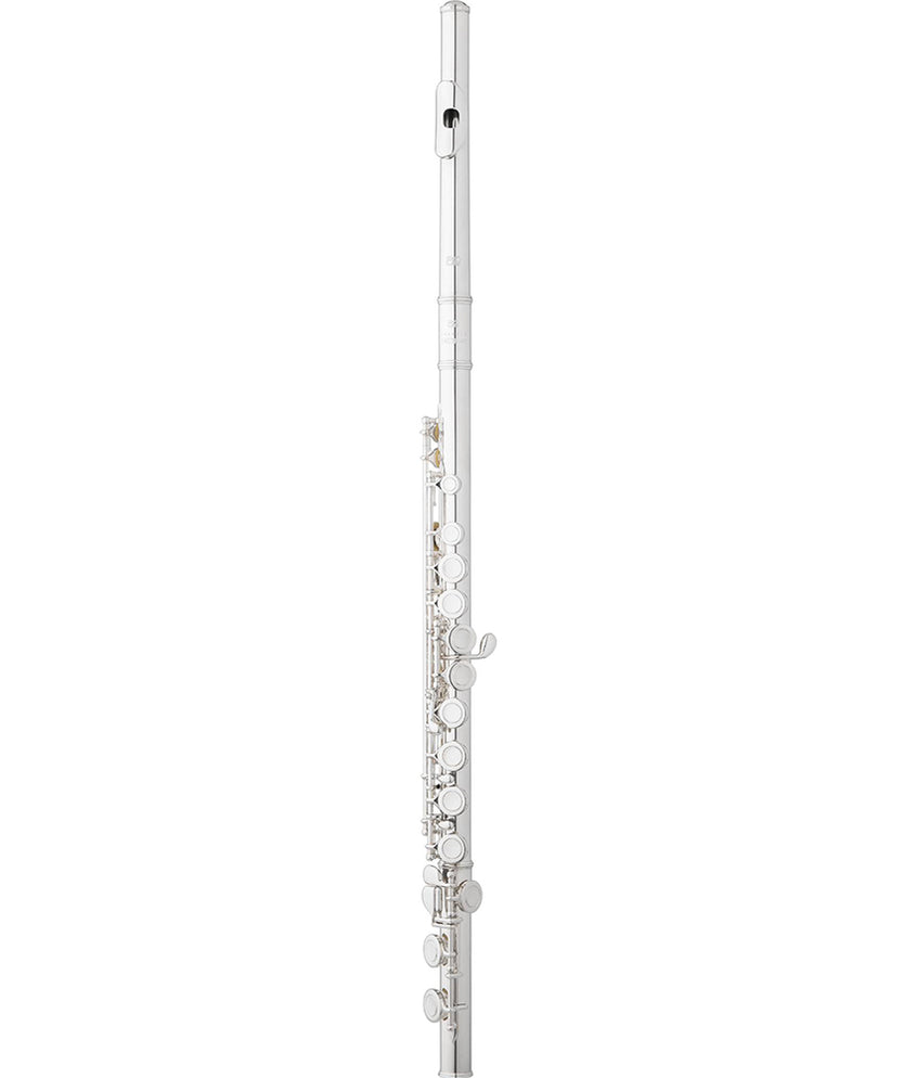 Eastman EFL210 Student C Flute - Closed Hole SilverAlamo Music ...