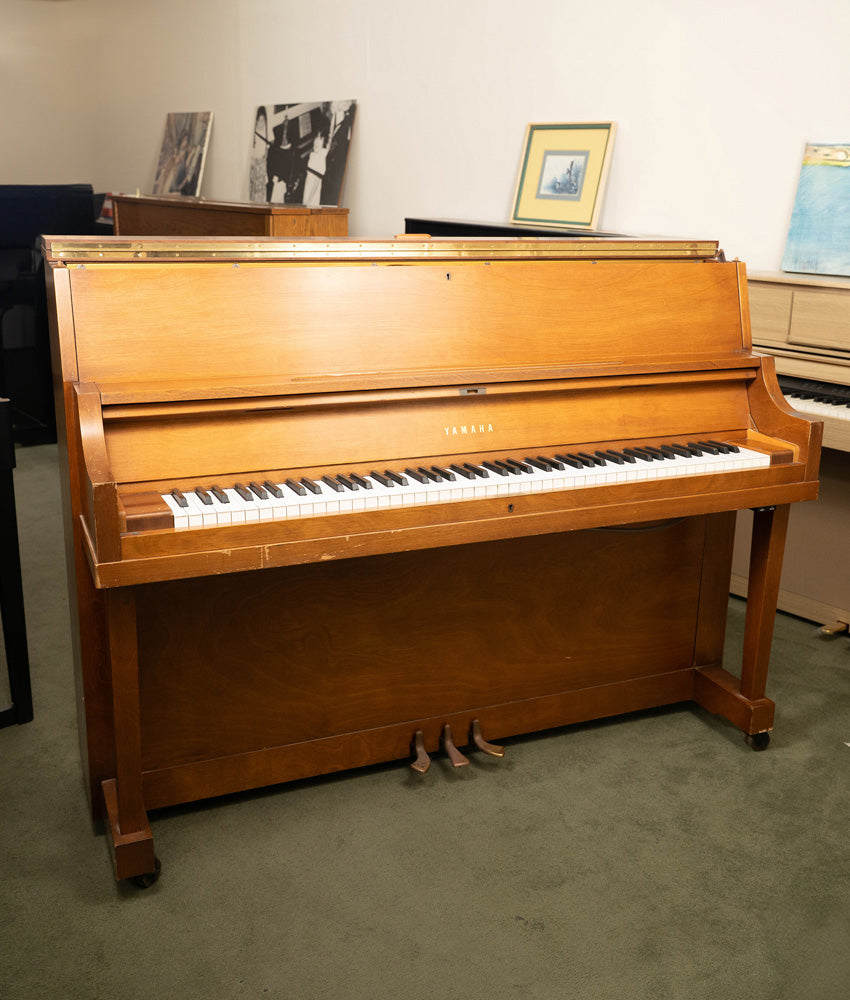 Alamo Music - Premier Music Instrument Store in San Antonio, Texas ...