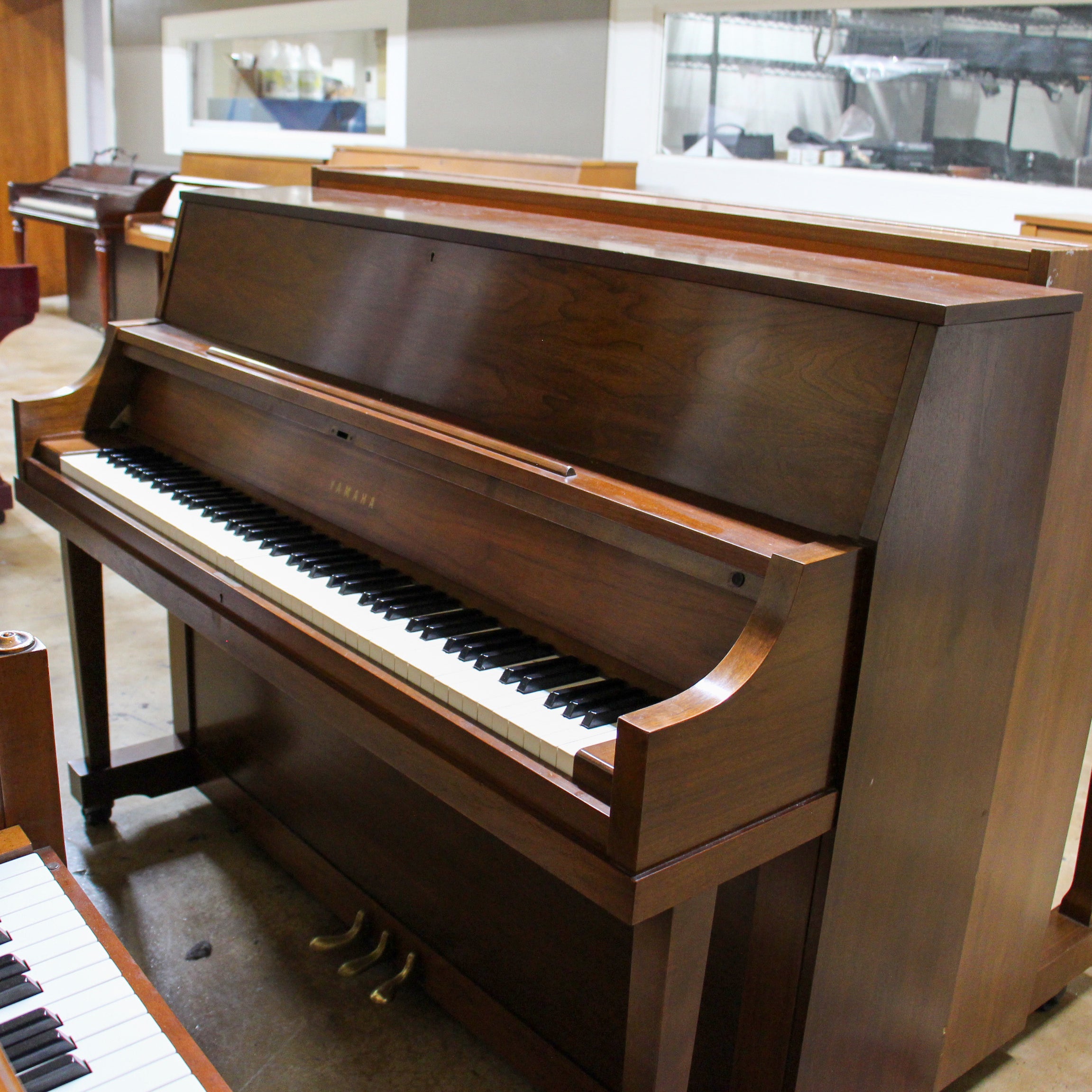 Yamaha P202 Walnut Studio Upright Piano w/ benchAlamo Music CenterAlamo Music CenterUPRIGHT PIANOS