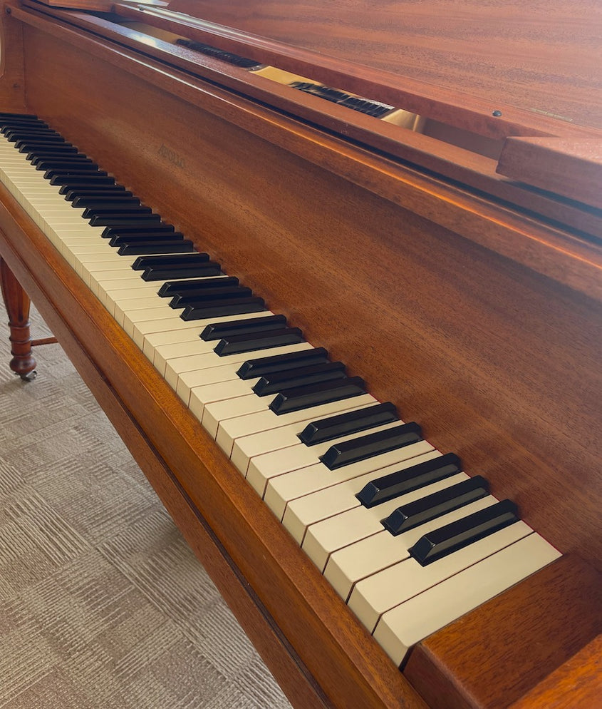 Apollo Baby Grand Piano | Polished WalnutAlamo Music CenterApolloGrand ...