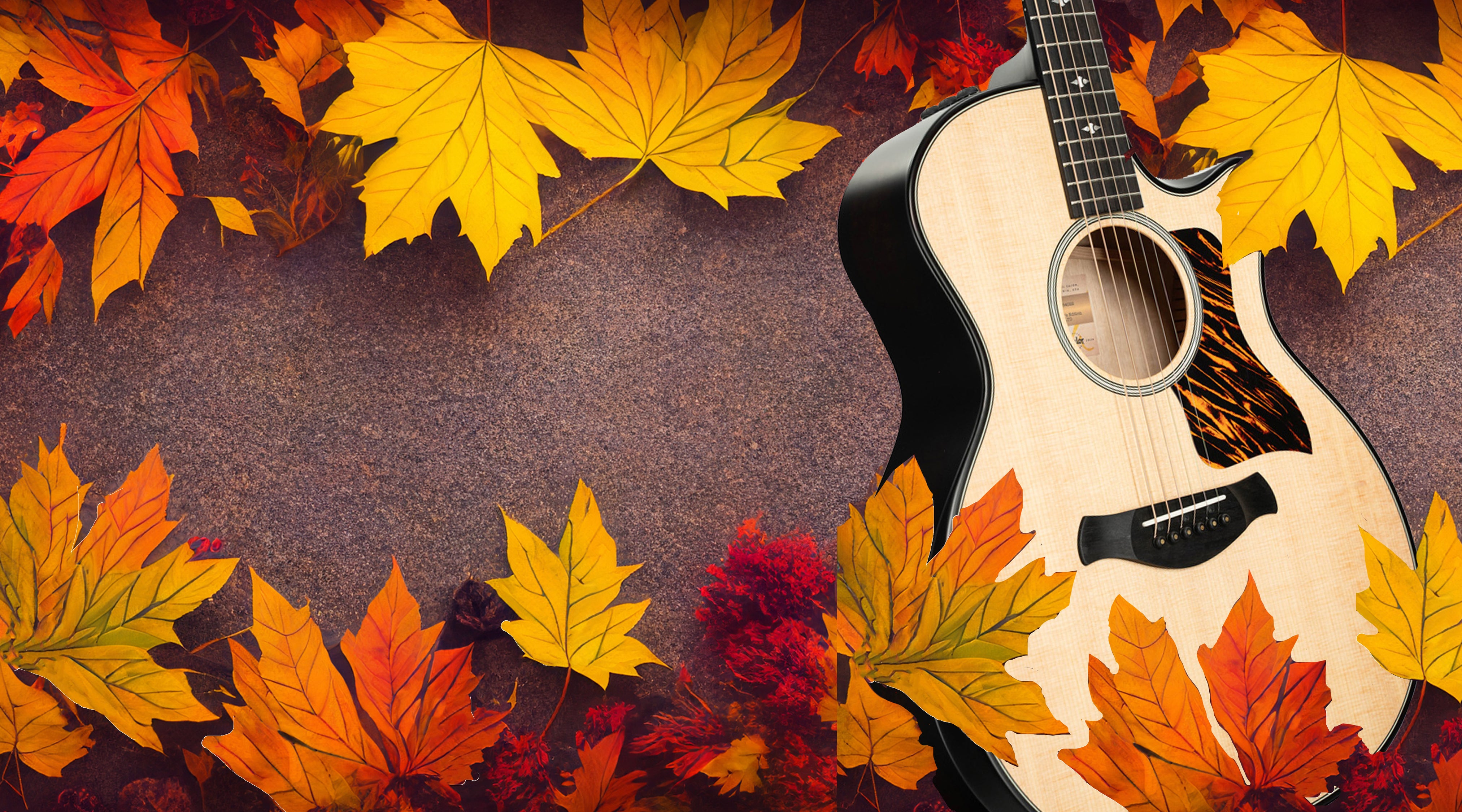 Alamo Music - Premier Music Instrument Store in San Antonio, Texas ...