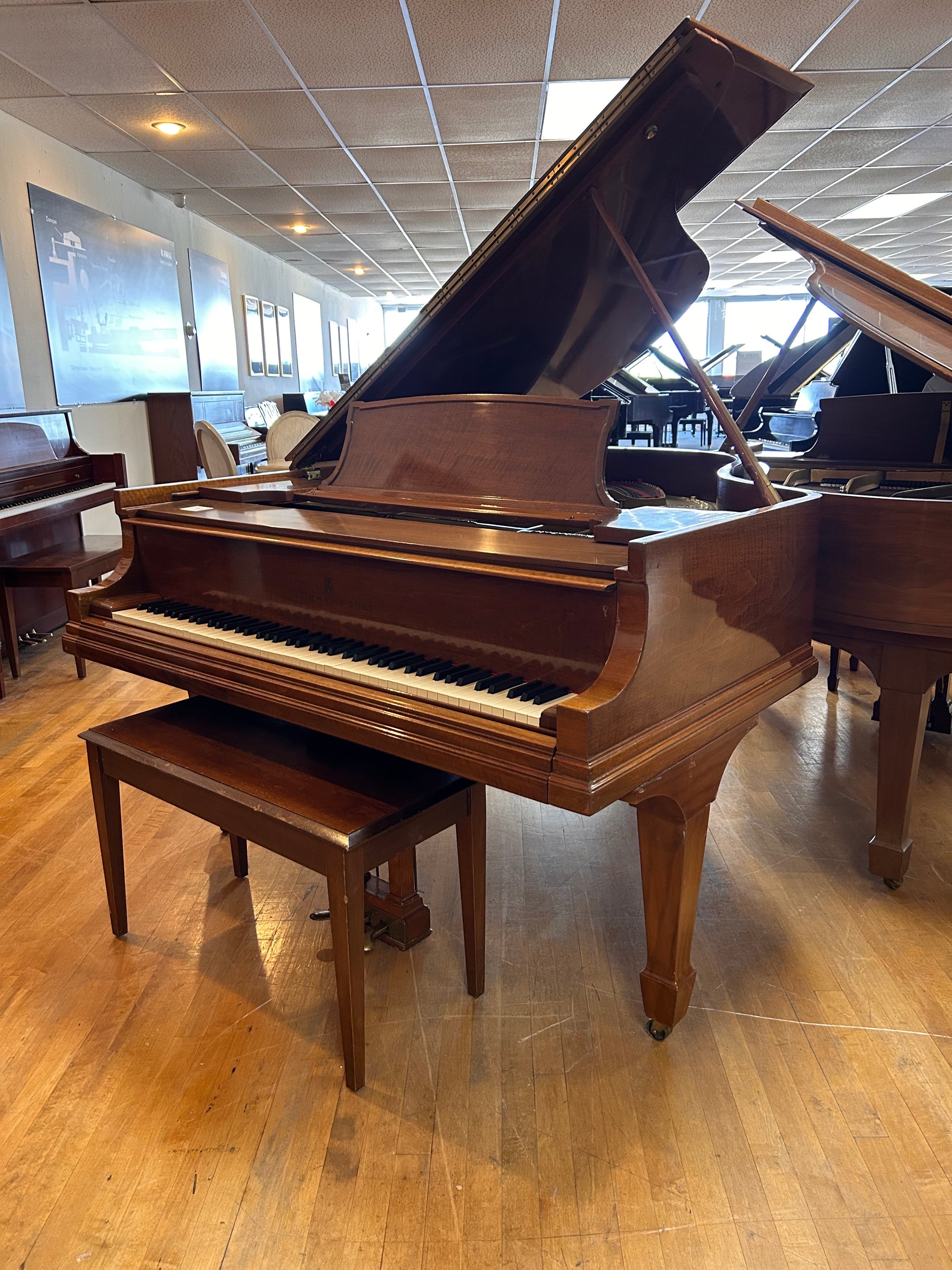 Alamo Music - Premier Music Instrument Store in San Antonio, Texas ...