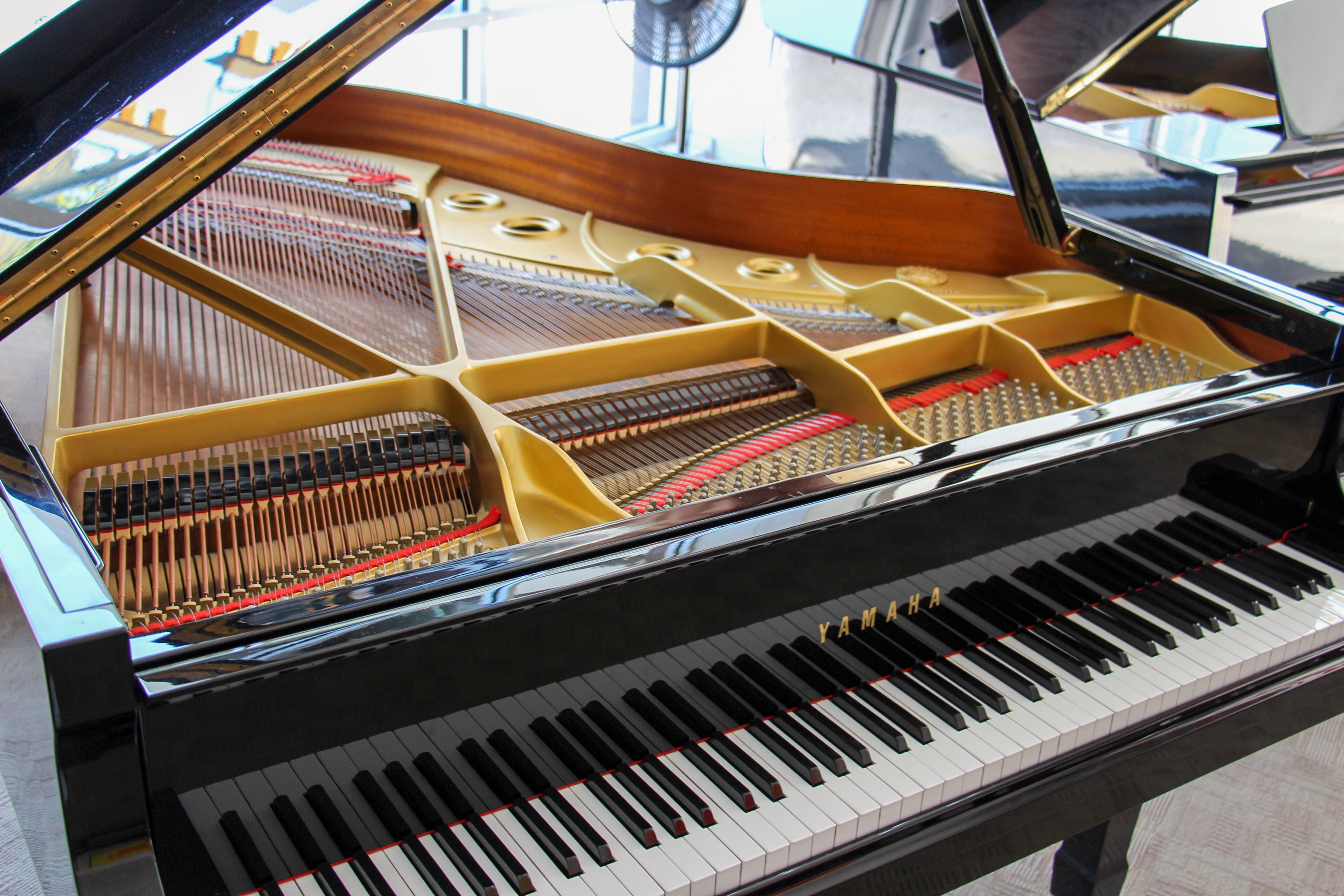 Yamaha C3 Grand Piano (0799)Alamo Music CenterYamahaGrand Pianos