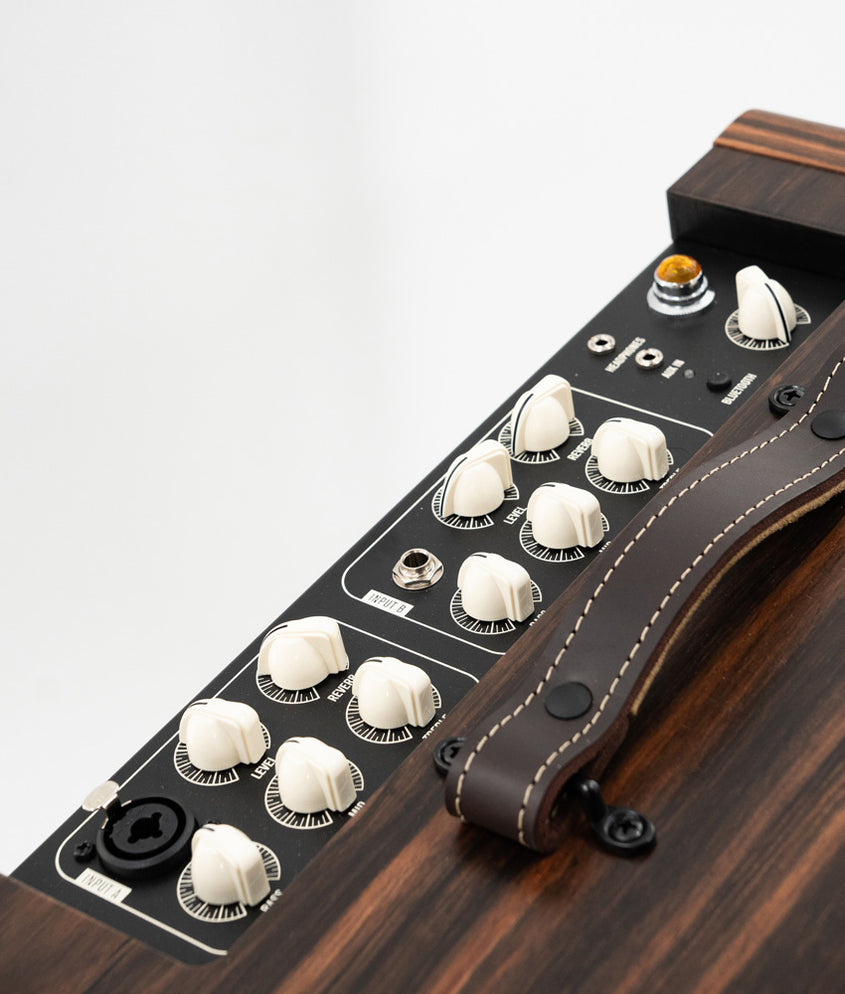 Taylor Circa '74 Macassar Ebony AV150-10 Acoustic Guitar/Vocal ...