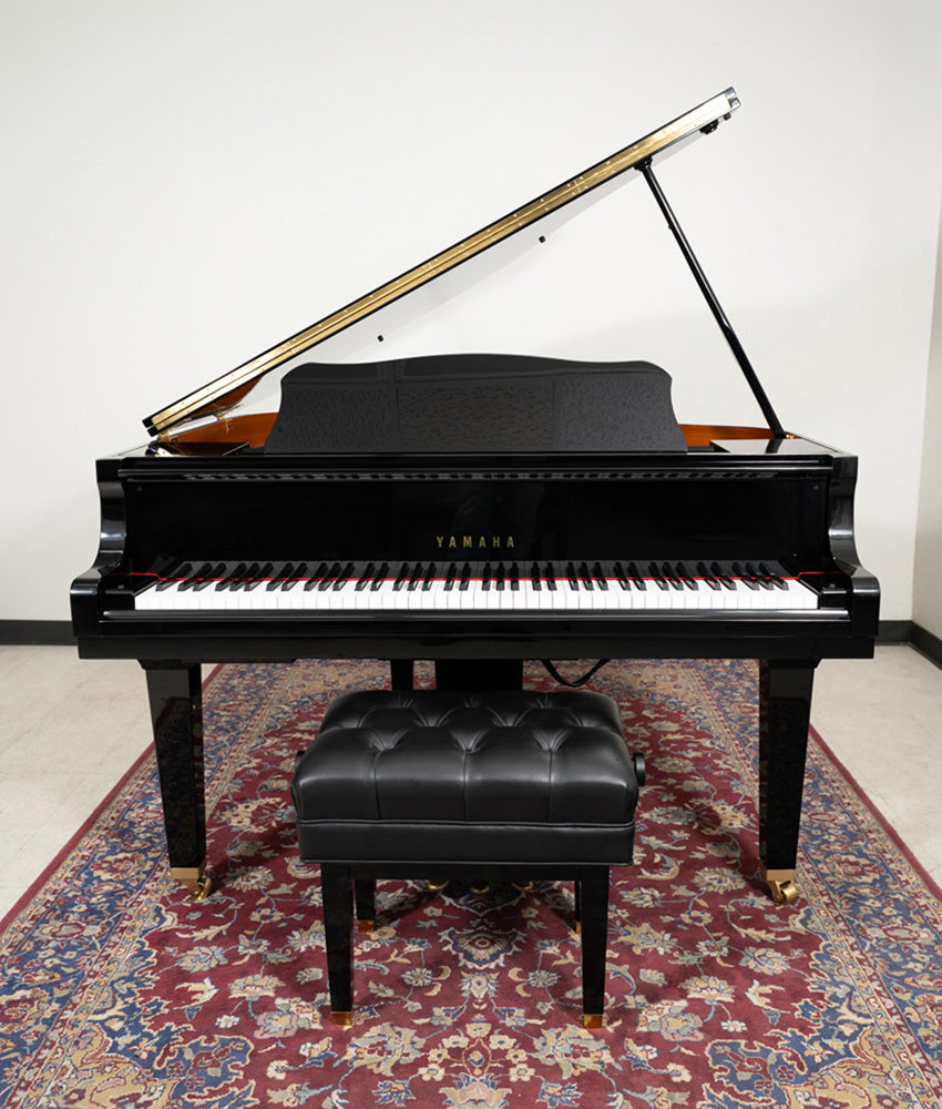 Alamo Music - Premier Music Instrument Store in San Antonio, Texas ...