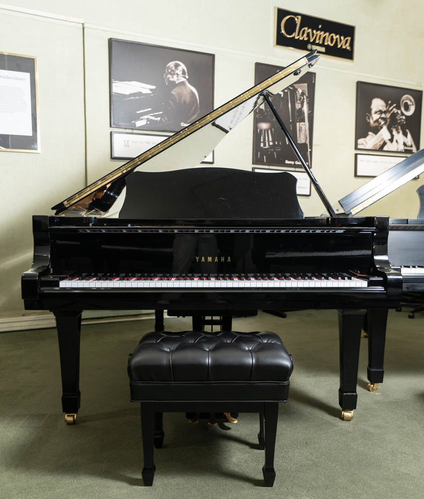 Alamo Music - Premier Music Instrument Store in San Antonio, Texas ...