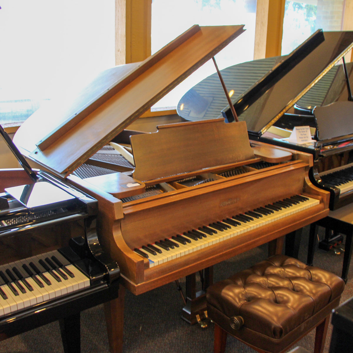 Chickering Grand Piano | Satin Walnut | SN : 143368 ...